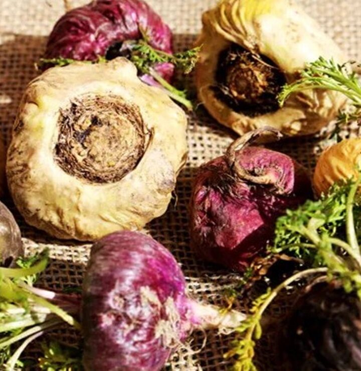 Maca Peruana: Conheça um pouco mais sobre ela
